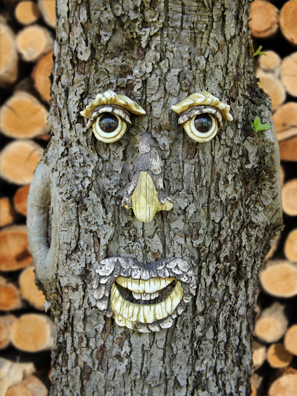 gesicht_holz - Kaminholzhandel André Wittig - Dresden